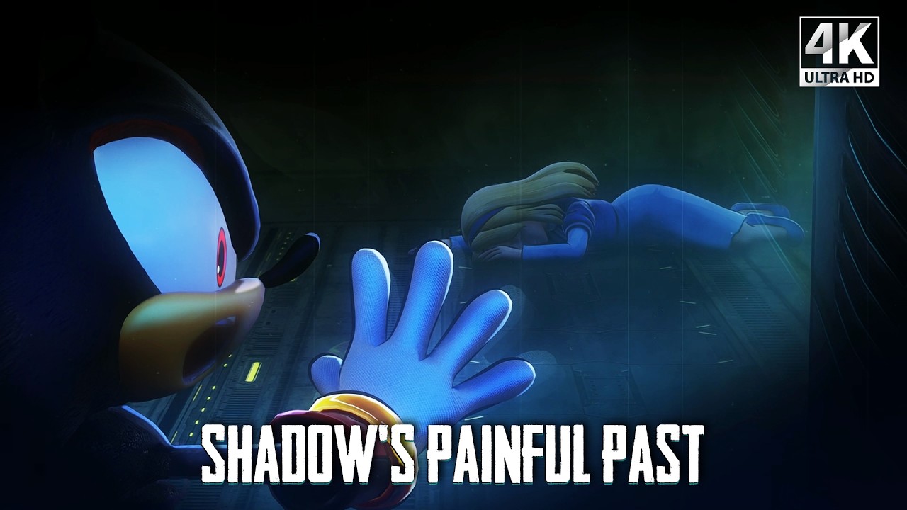 The Tragic Past of Shadow the Hedgehog Full Story Recap Sonic X Shadow ...