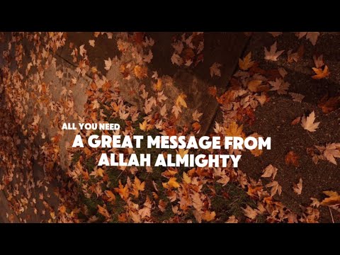 A “great sign from Allah”💗 all you need. - YouTube