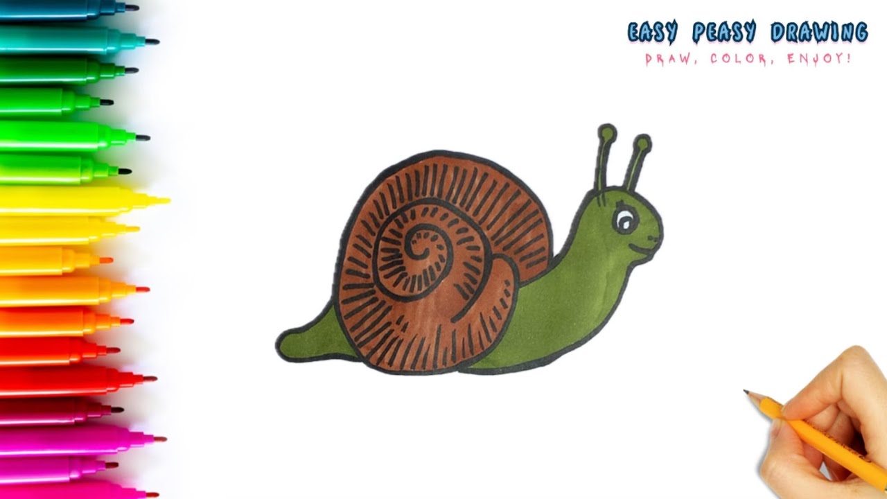 How To Draw Cute Snail for Kids and Beginners | Step by Step Drawing ...