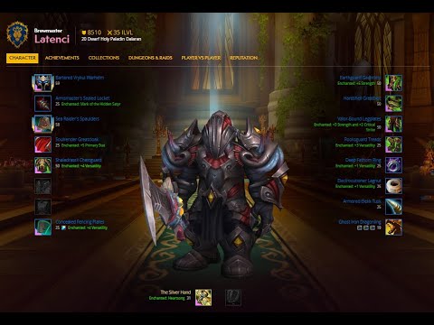 World of Warcraft Level 20 (Vet/F2P) Paladin Twink - YouTube