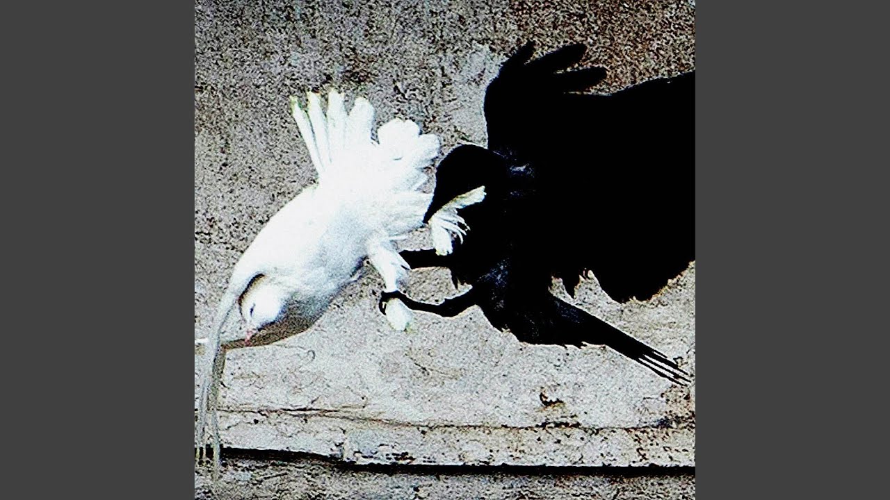 REVENGE KNIGHT / IRON SOUL - YouTube