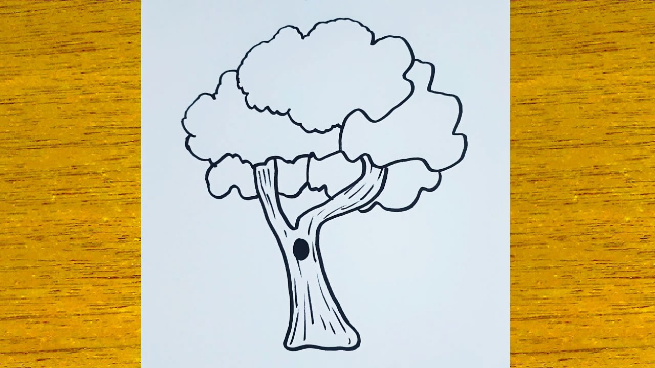How to draw Tree / Easy Drawing - YouTube