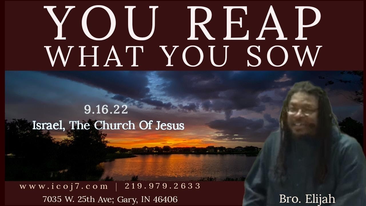 YOU REAP WHAT YOU SOW - YouTube