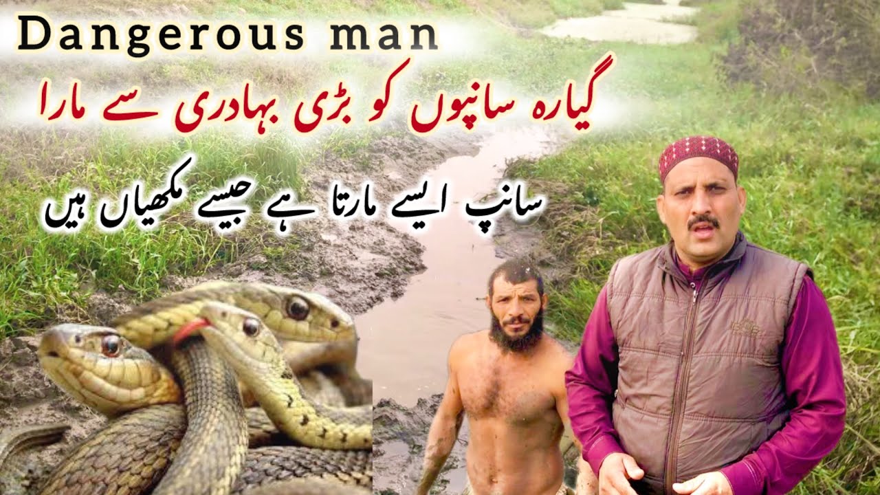 Brave Man Kills 11 Snakes While Fishing | گیارہ سانپوں کو مارنے والا آدمیApna Punjabi Vlog3985 ...