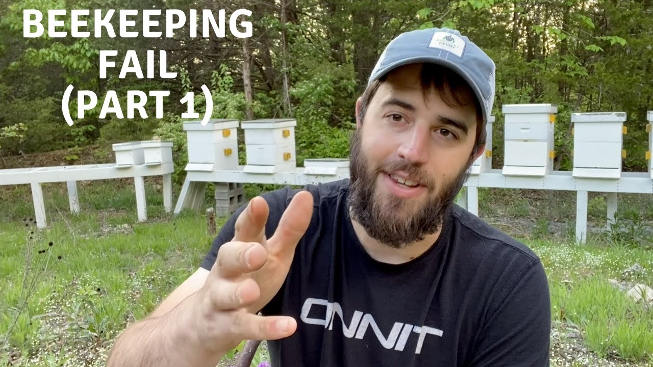 Beekeeping Failure - The Worst Day of Beekeeping - Lessons & Key ...