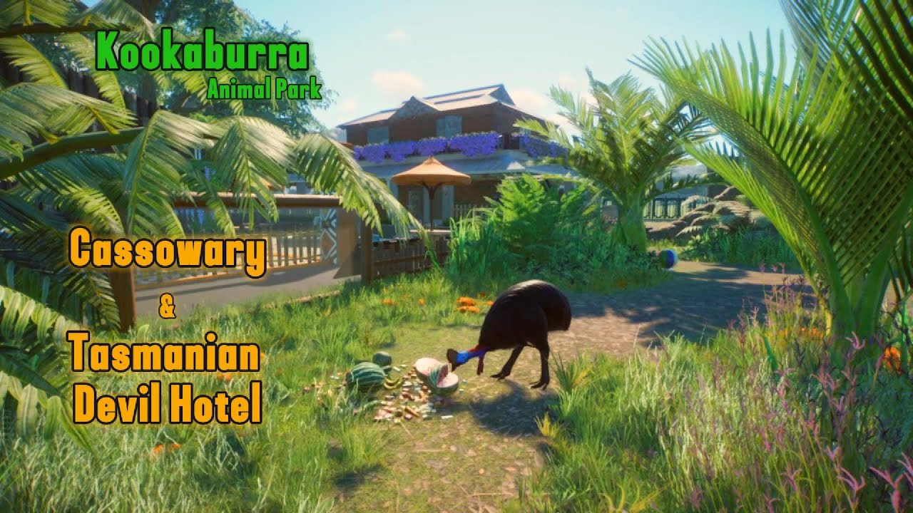 Cassowary Exhibit and Tasmanian Devil Hotel - Kookaburra Animal Park ...