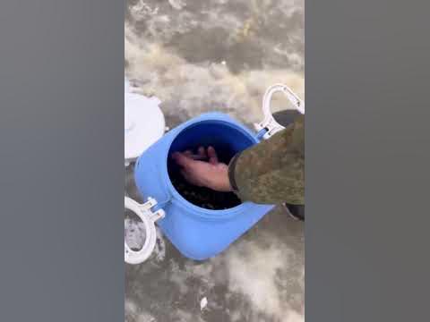 #рыбалка#флажки#fishing - YouTube