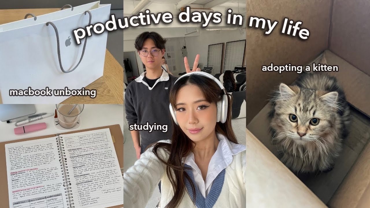 Productive days in my life | unboxing new macbook, adopting a kitten ...