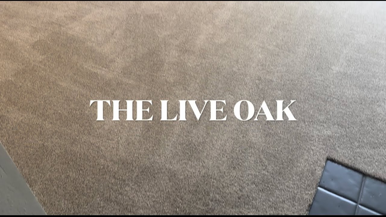 The Live Oak - The Gregory North & South **2023 Reno** - YouTube