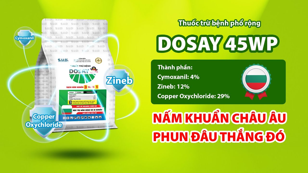 DOSAY 45WP NẤM KHUẨN CHÂU ÂU PHUN ĐÂU THẮNG ĐÓ - YouTube
