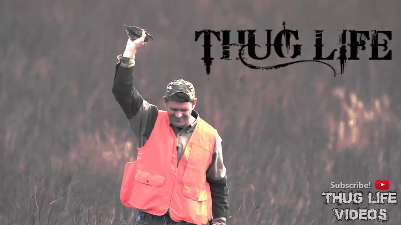 Best Thug Life Compilation of 2015 Part 1 - YouTube
