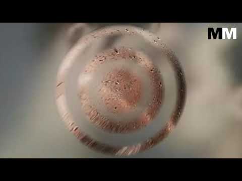 SHOWER SEX, GAYA BERCINTA UNIK YANG BIKIN PASANGAN KETAGIHAN