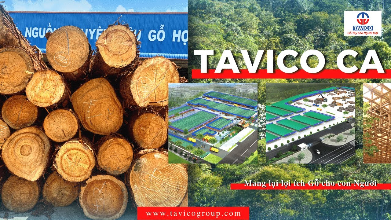 TAVICO CA - YouTube