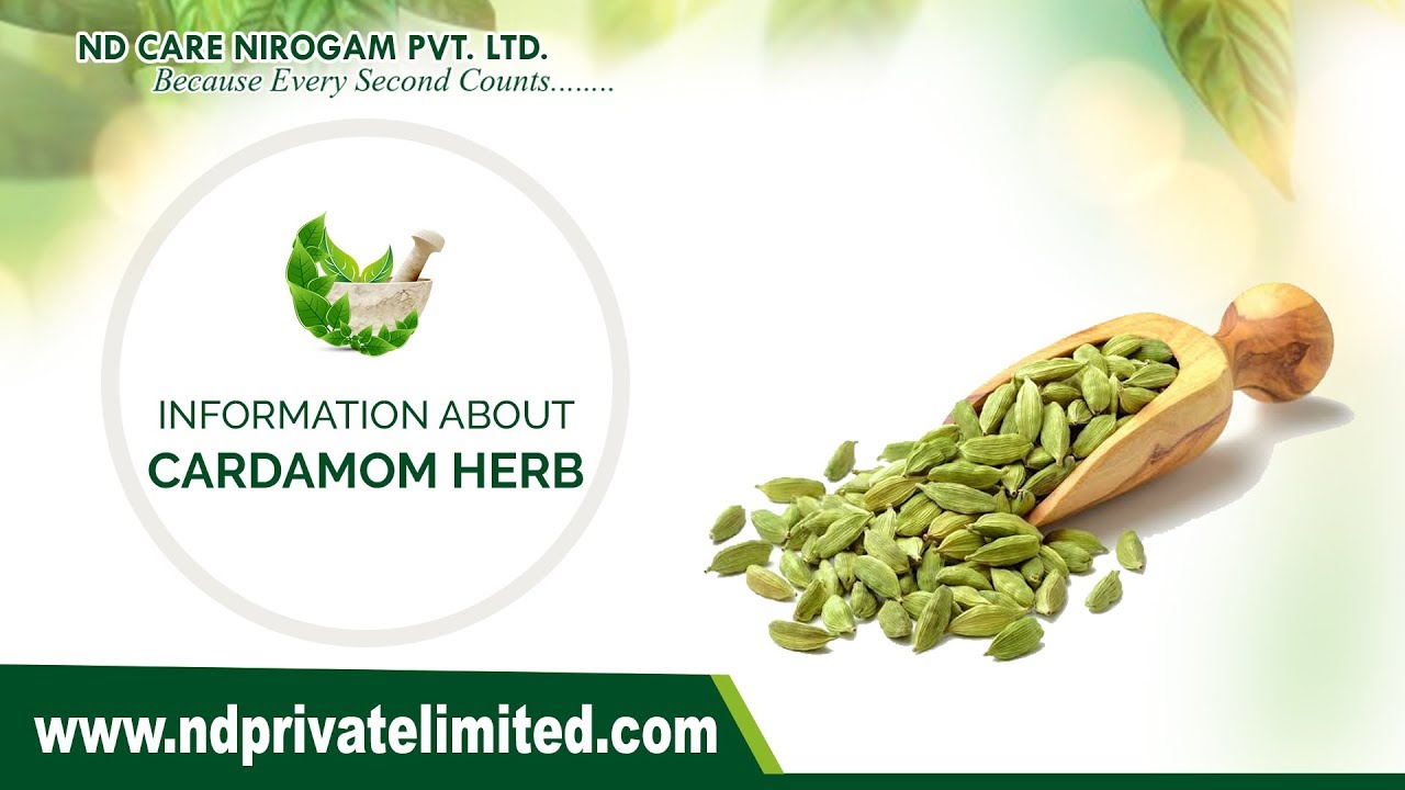 Benefits of Cardamom Herb | ND Care Nirogam Pvt Ltd - YouTube