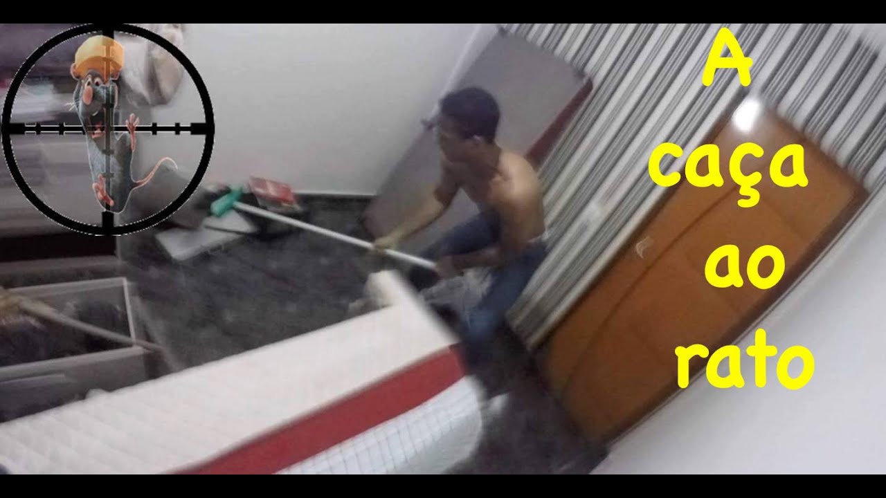 Wolf29-- A caça ao Rato - Homem vs Rato - YouTube