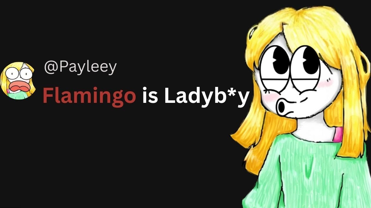 Payleey VS Flamingo Comments Be Like 🥀 - YouTube