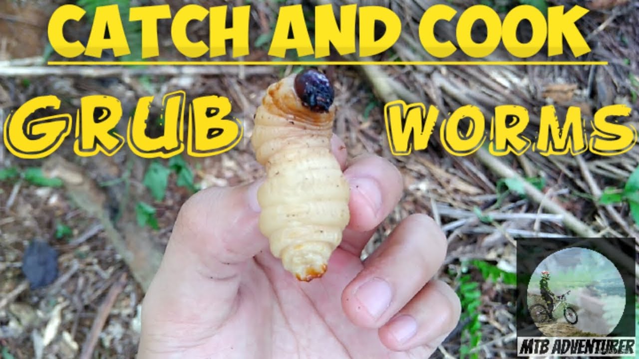 Catch and Cook Grub Worms - YouTube