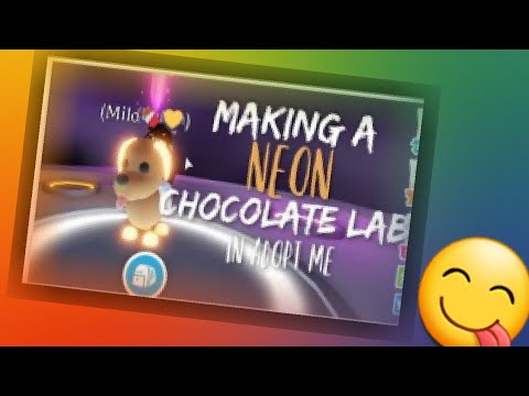Roblox || Adopt me - Making Neon Chocolate LABRADOR!! - YouTube