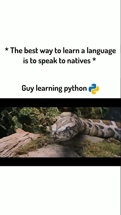 Best way to learn python 🐍🐍~ Harry Potter #memecoding #funny #meme ...