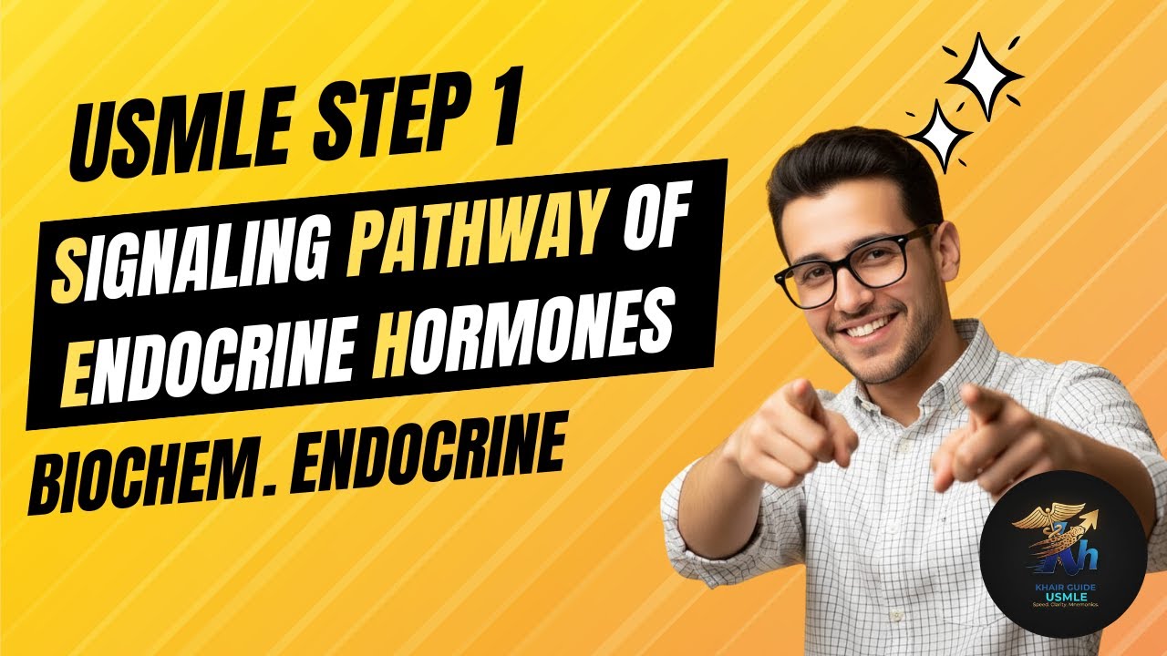 Signaling pathway of endocrine hormones | USMLE Step 1 - YouTube