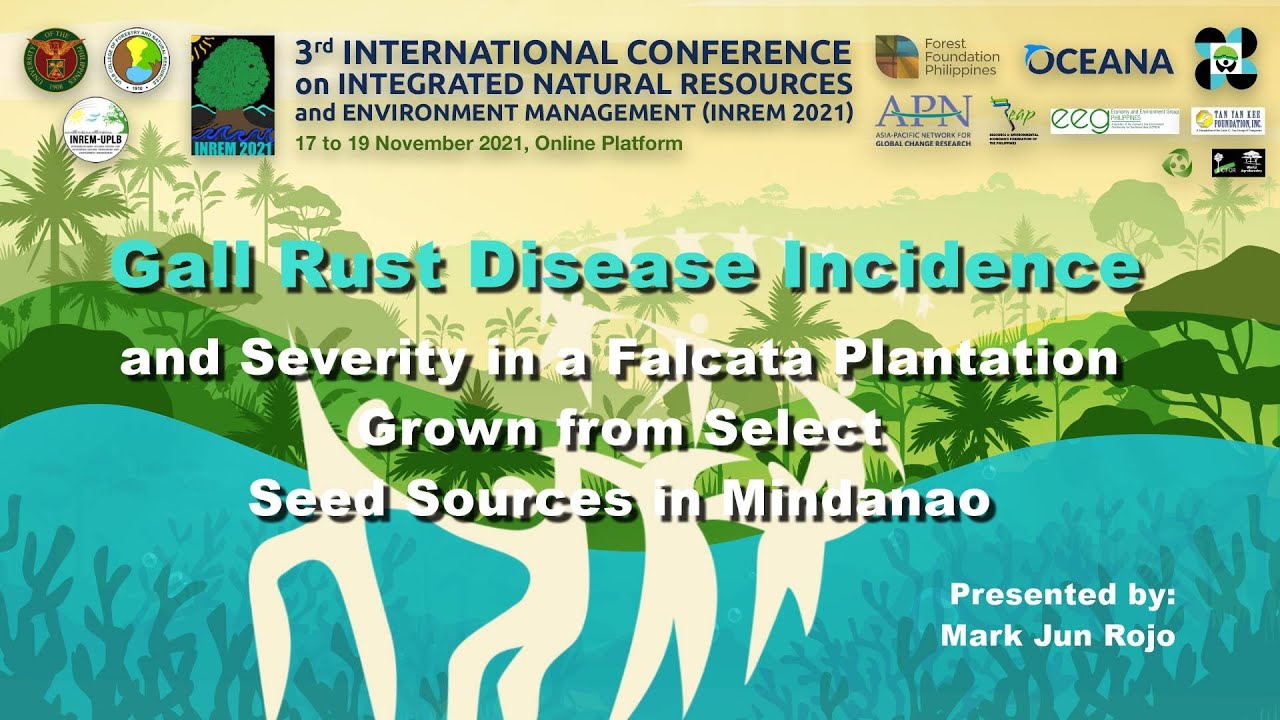 Gall Rust Disease Incidence & Severity in a Falcata Plantation from ...