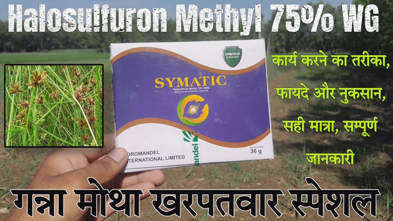 Halosulfuron Methyl 75% WG | Symatic herbicide | Coromandel symatic ...