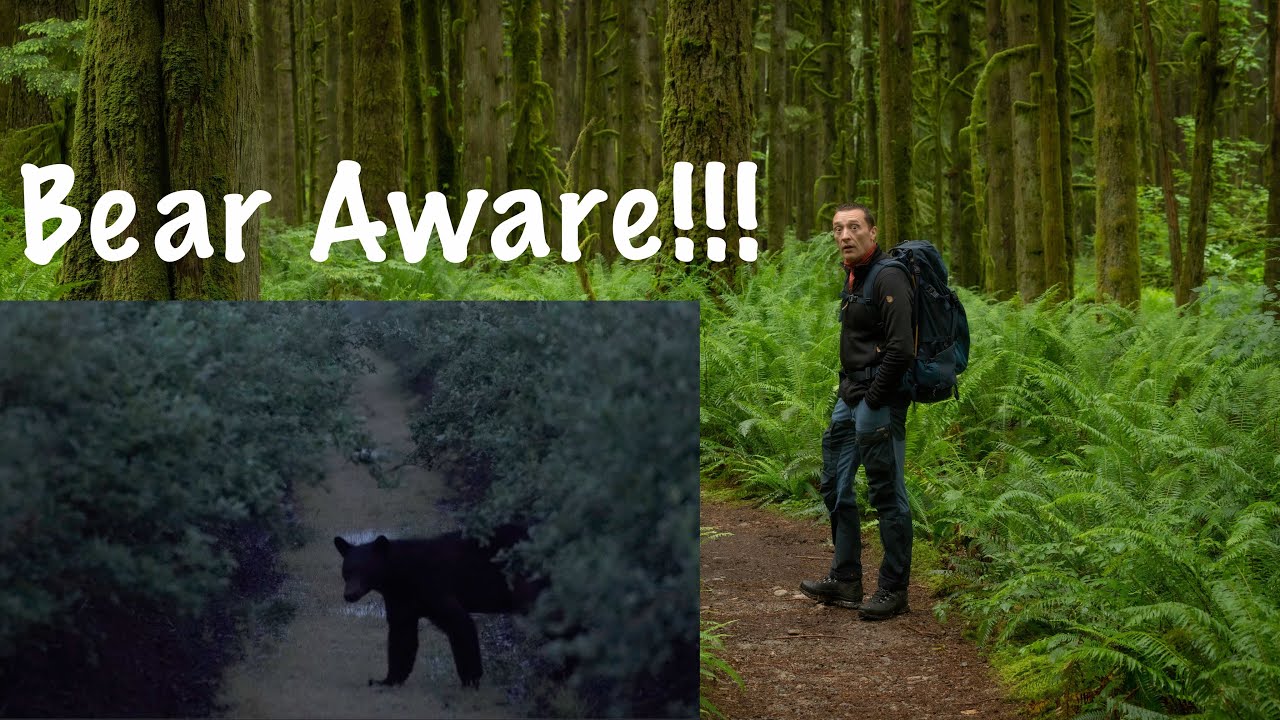Bear Aware!! Landscape Photography - YouTube