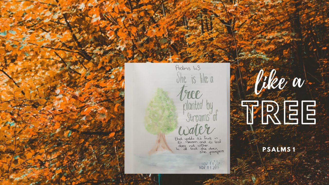 Like A Tree - Psalms 1 - YouTube