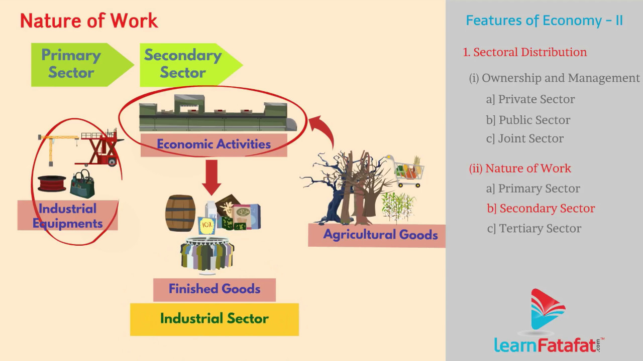 Features of Economy -2 | Economics - YouTube