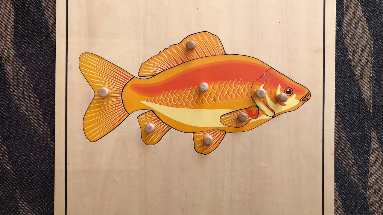 Montessori Fish puzzle - YouTube