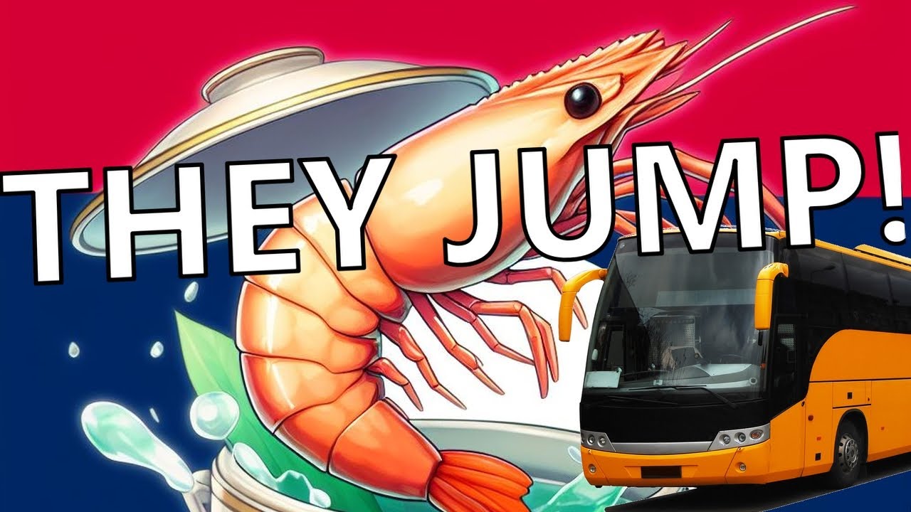Eating Laos LIVE Jumping Shrimp and Going to Savannakhet by Bus - YouTube