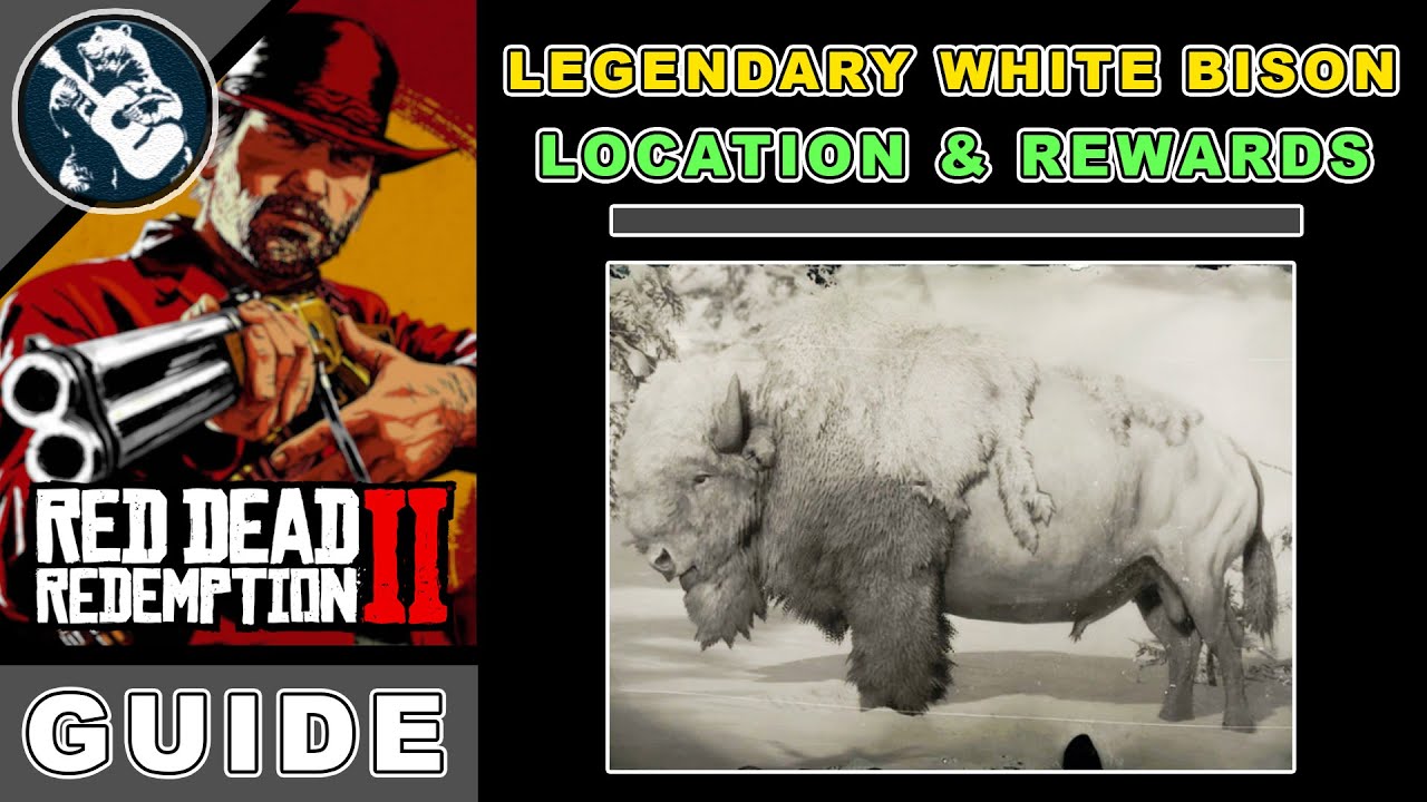 Legendary White Bison RDR2 Legendary Animals Location & Rewards - YouTube