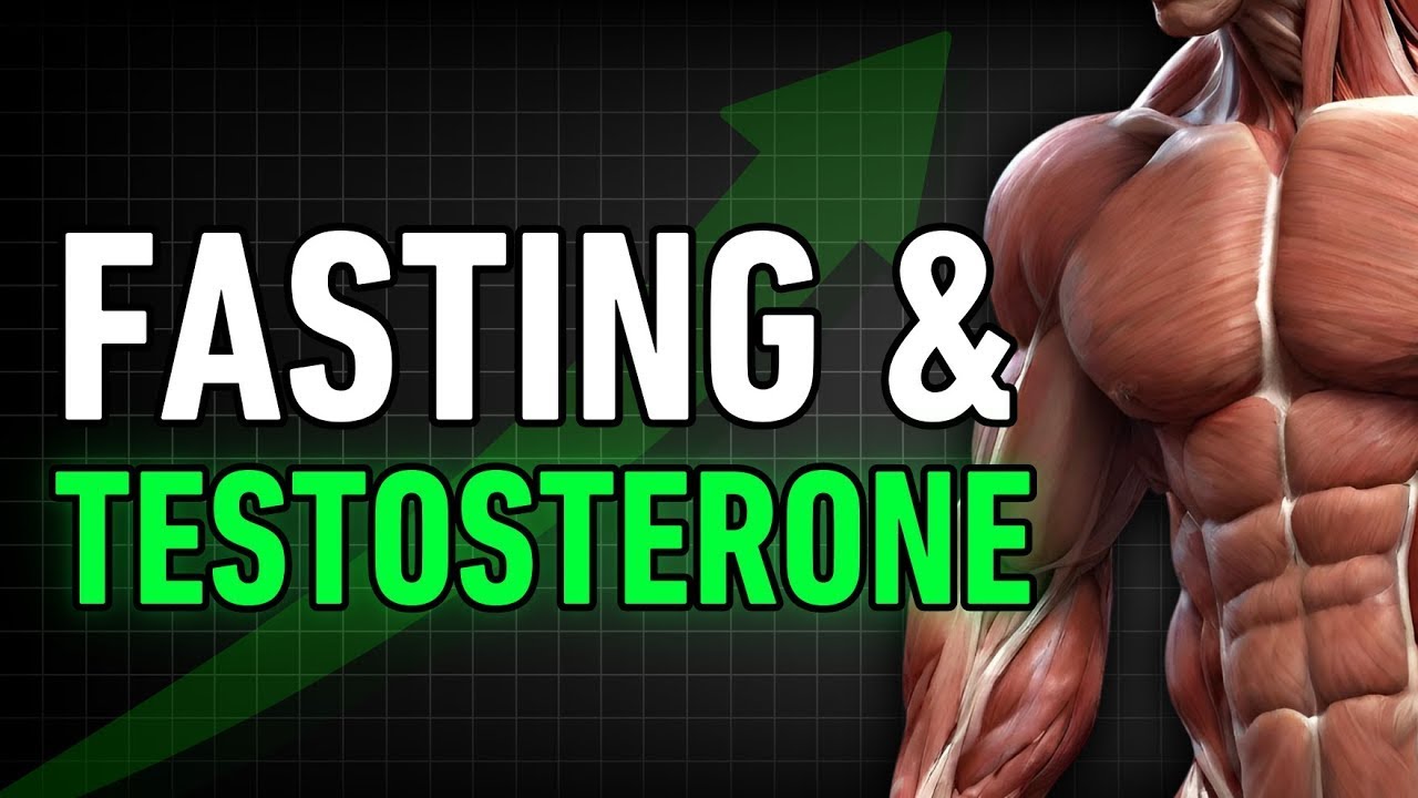 How Fasting Changes TESTOSTERONE Levels - YouTube