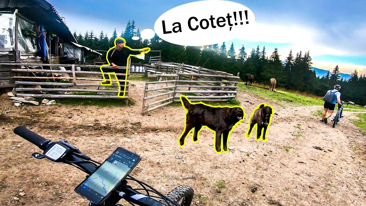 Panica, caini rai si ciobani - coborare Curmatura Fiarelor - Podu ...