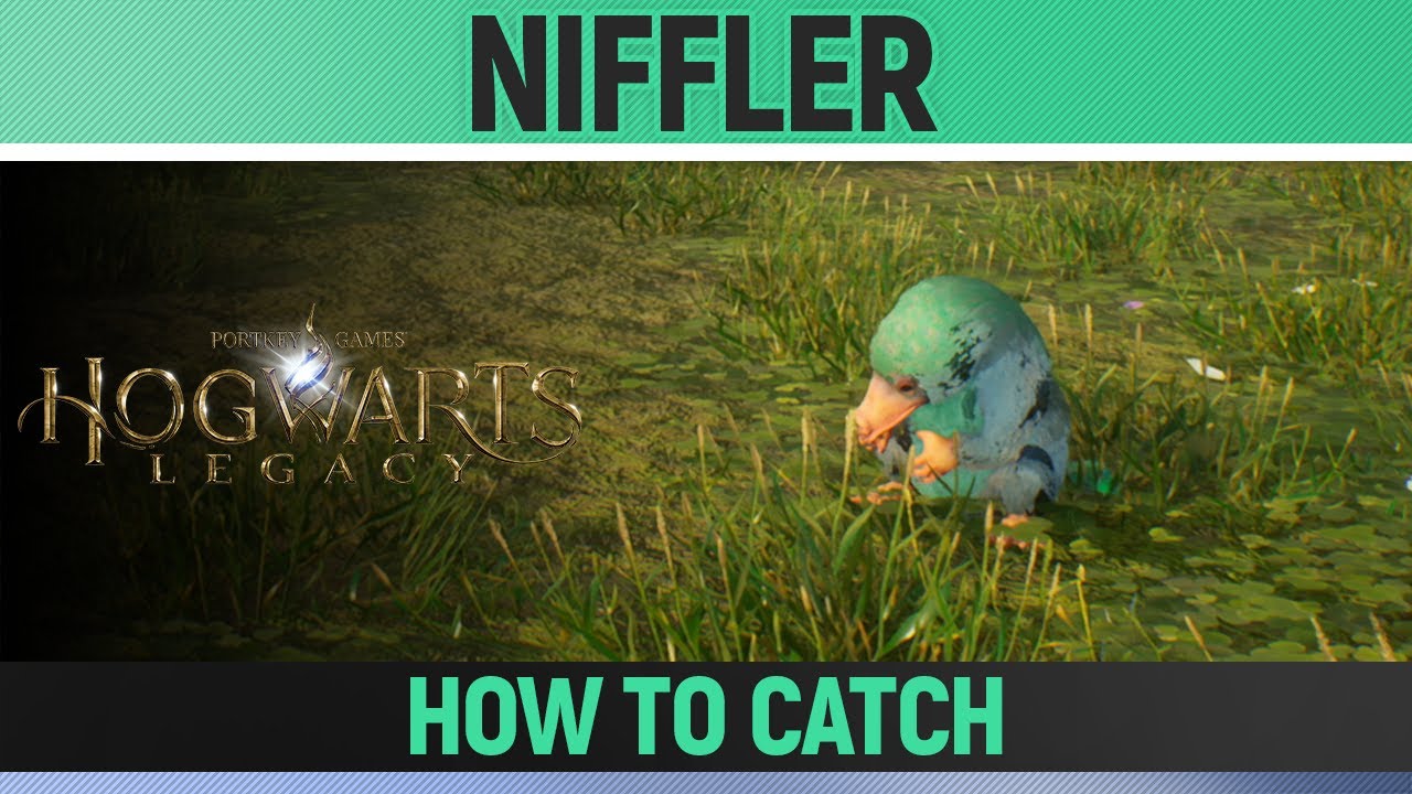 Hogwarts Legacy Niffler Location How To Catch Youtube 3192