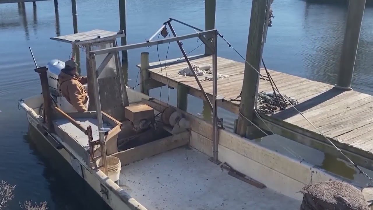 NCDMF votes to extend gillnet restrictions in Pamlico, Neuse rivers ...