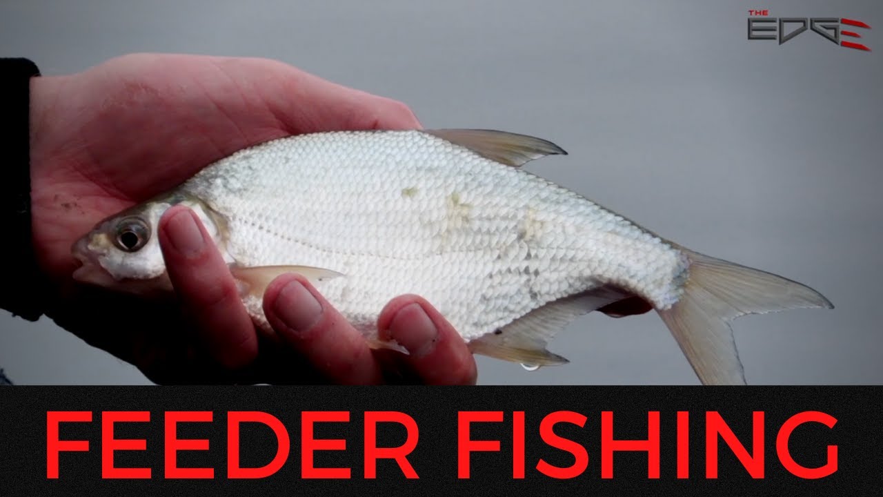 FEEDER FISHING - A BITE EVERY CAST - ROB WOOTTON AND LEE KERRY, THE ...