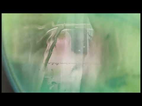 Transparencias (2023) - Andrea Bolaño y Daniela Chirivi