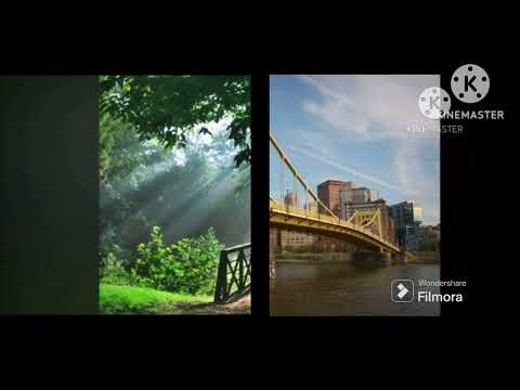 I'm going on a bear hunt reversed logo kinemaster