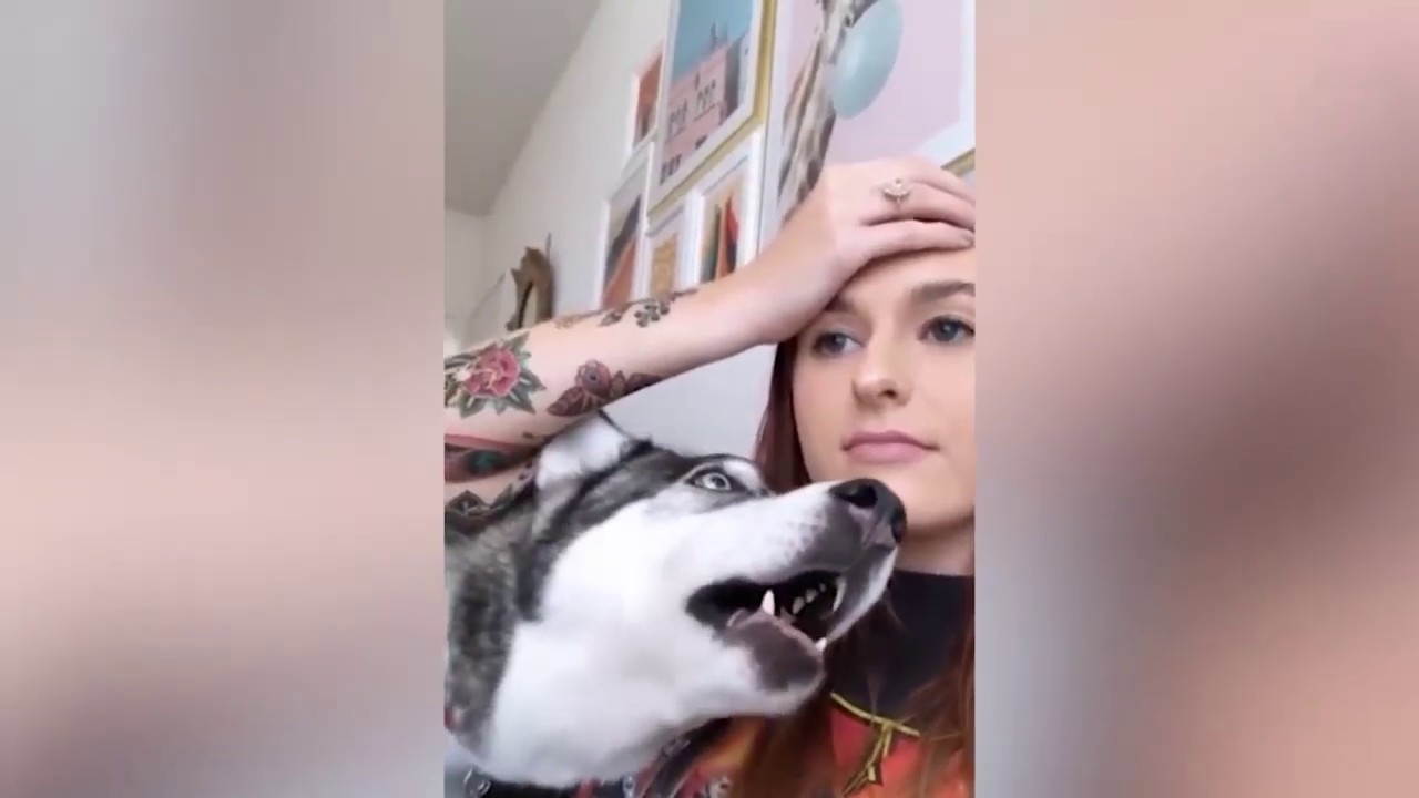 I NEIGHED 9999 HOURS WITH THIS VIDEO - YouTube