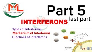 Interferons |Types of interferon| Mechanism of Interfer... | Doovi