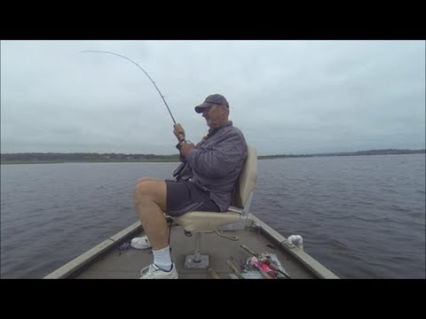 6/4/14 Connecticut River Stripers - YouTube