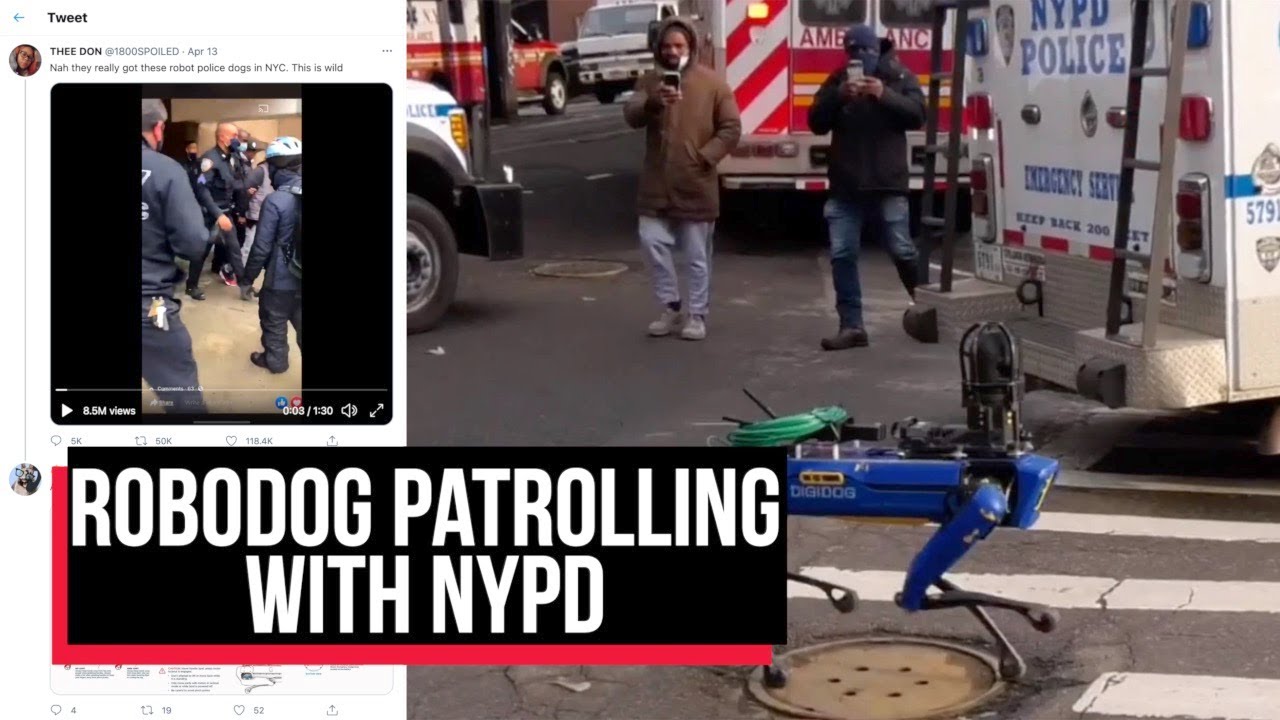 Viral Video Shows Robot Dog Helping New York Police In City Patrol ...