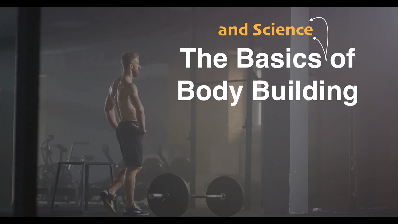 MUSCLE UP! Your Ultimate Guide to Effective Bodybuilding (The Science ...