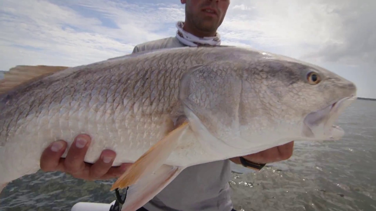 EPIC BULL RED FISHING - Charleston, SC - YouTube