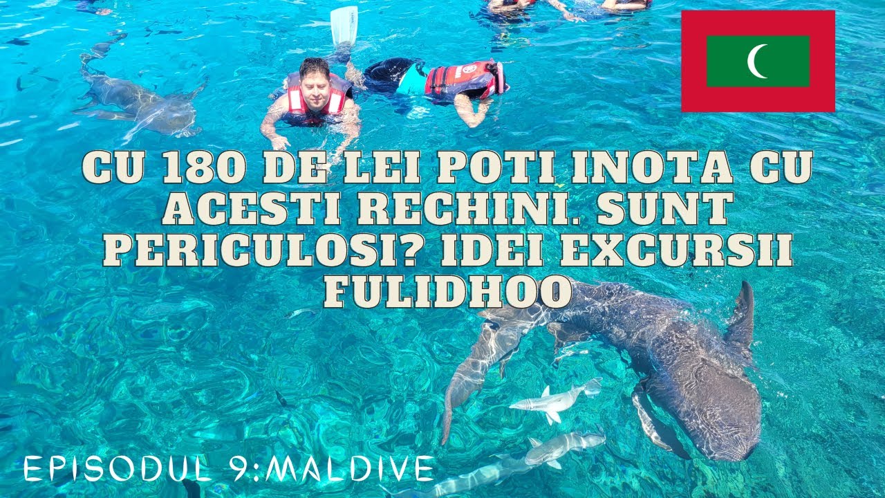 Ep.9 Maldive - Cu 180 de lei poti inota cu acesti rechini. Sunt ...
