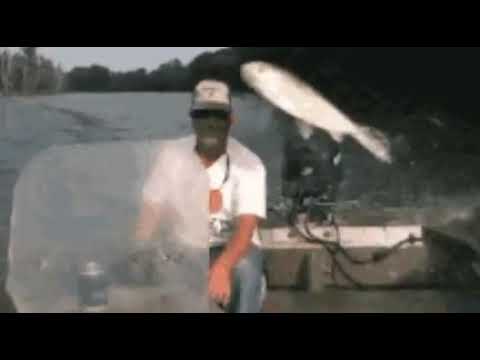 GIF: "Fish" Slap - YouTube