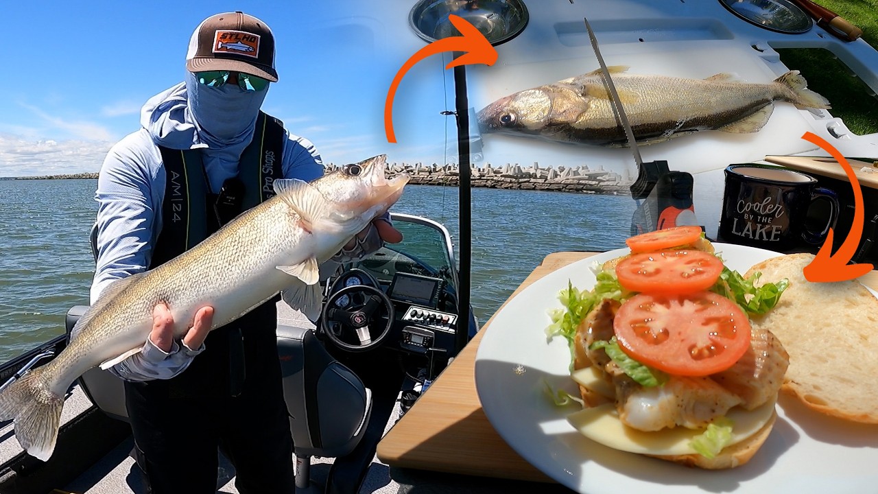 Lake Erie Walleye Catch & Cook – Best Fish Sandwich Ever? - YouTube