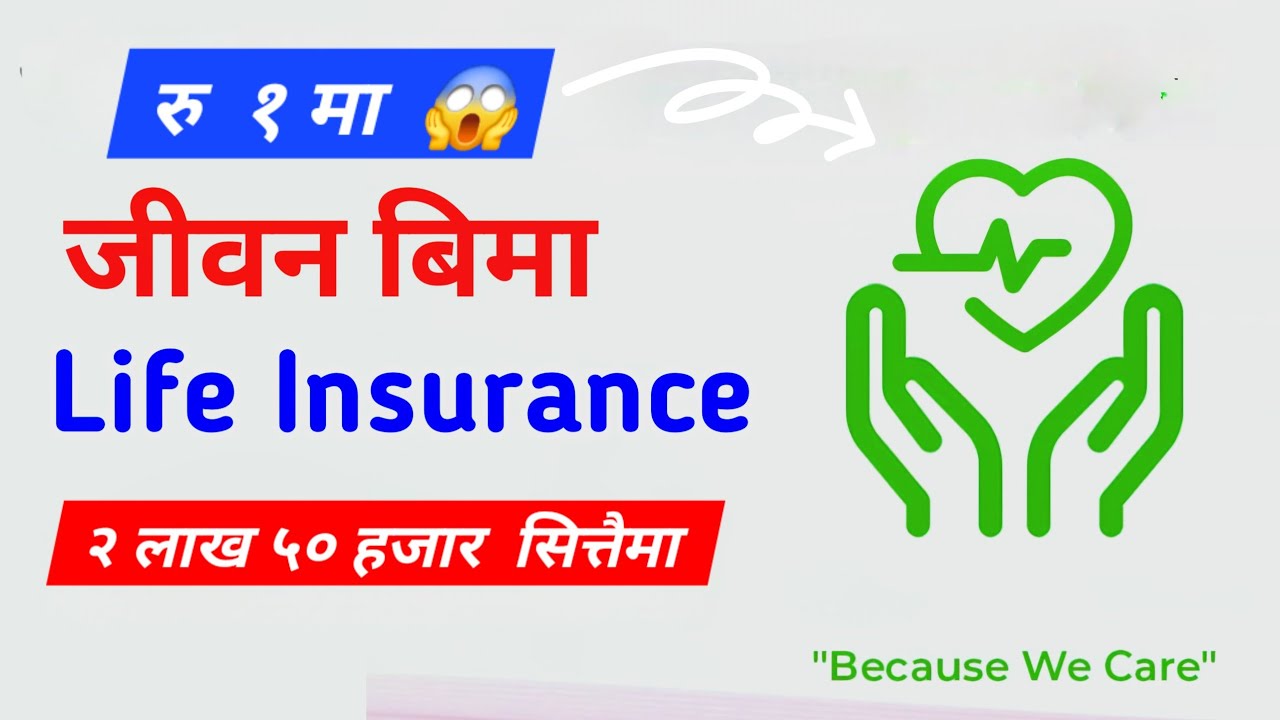 e sewa insurance returne || e sewa life insurance - YouTube