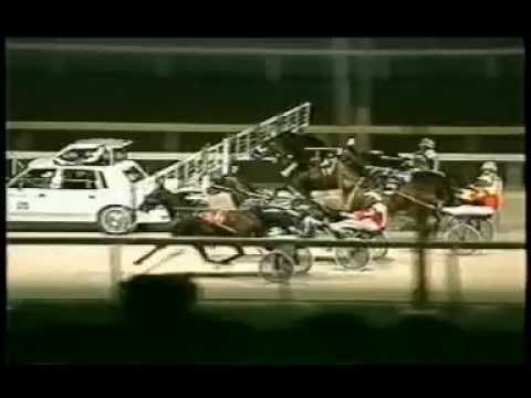 1989 Greenwood Raceway CAMTASTIC Canadian Pacing Derby - YouTube